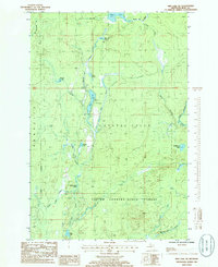 1985 Map of Ned Lake SE, Iron County, MI — High-Res | Pastmaps